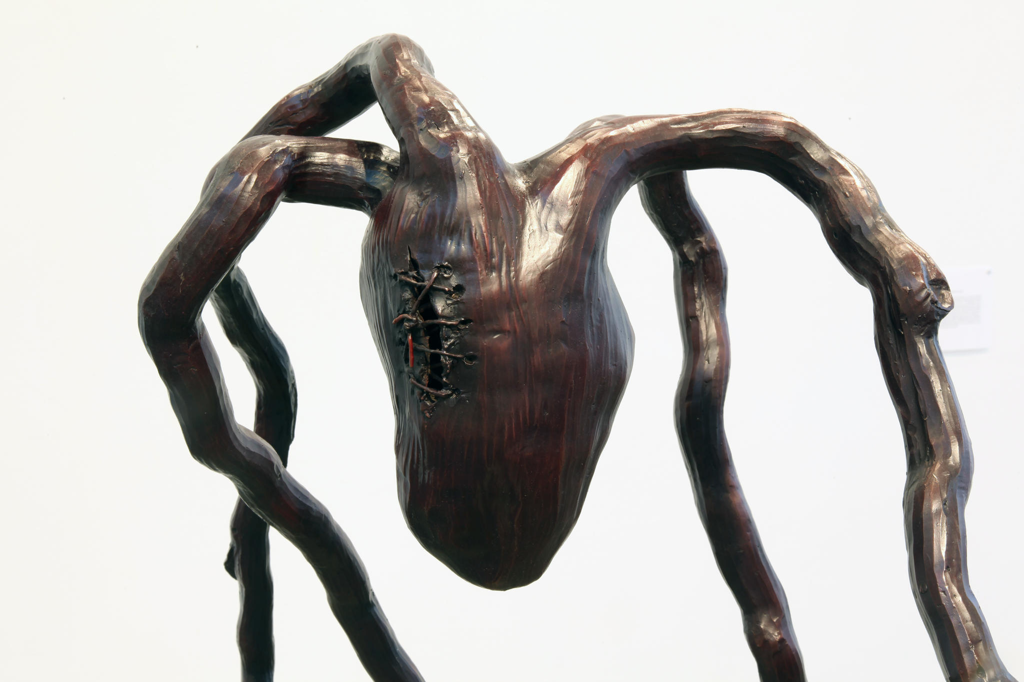 Alison Saar | MassArt Art Museum