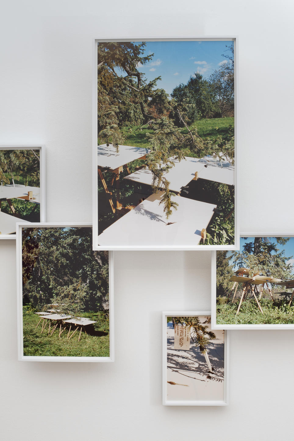 Verdant | MassArt Art Museum