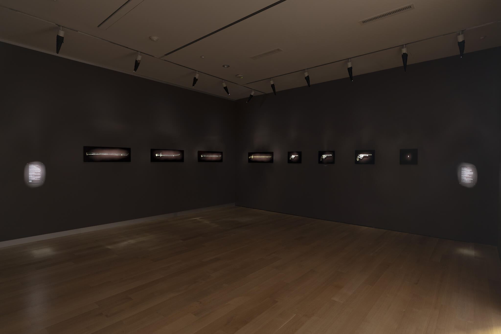 Future Fossils | MassArt Art Museum